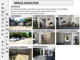 Case study siam ricem | PDF