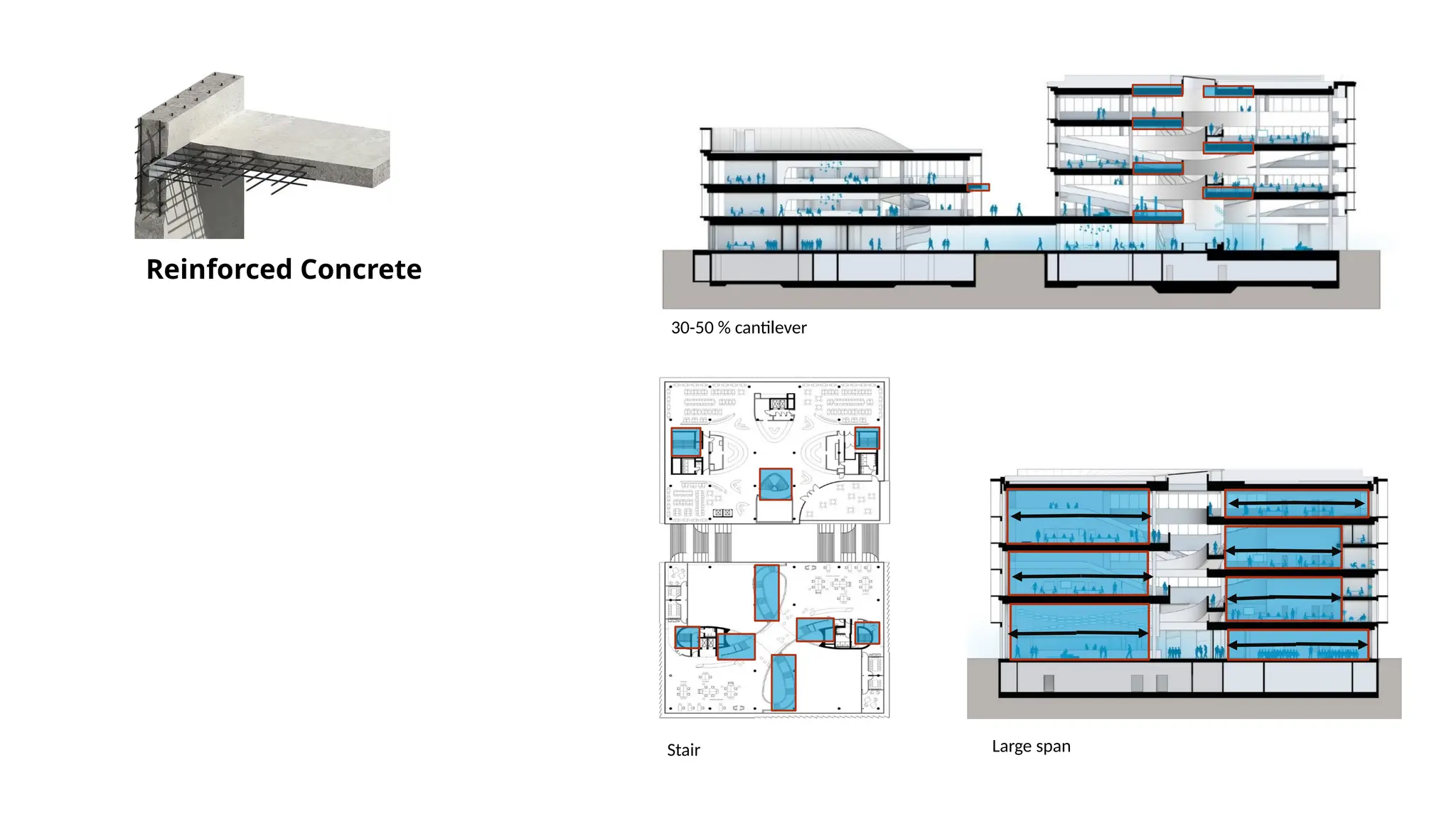 case study structural system.pptxvgdbvgf | PPTX