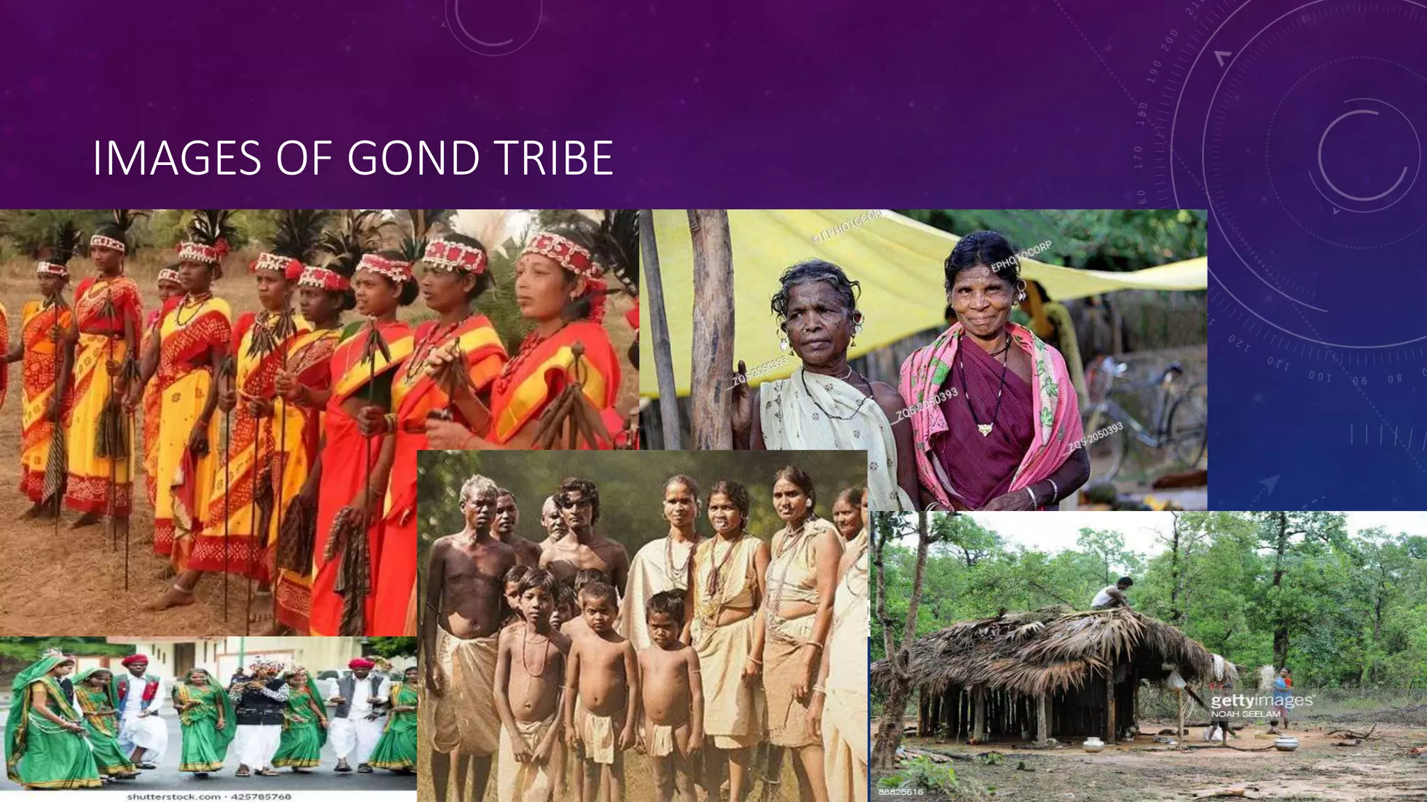 Case study; the Gonds.pptx