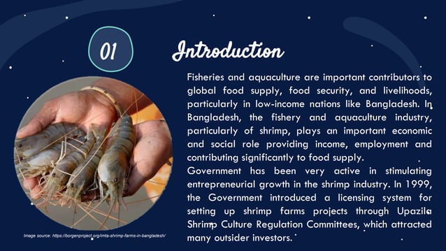 Case Study_The Shrimp Farming Project in Bangladesh.pptx