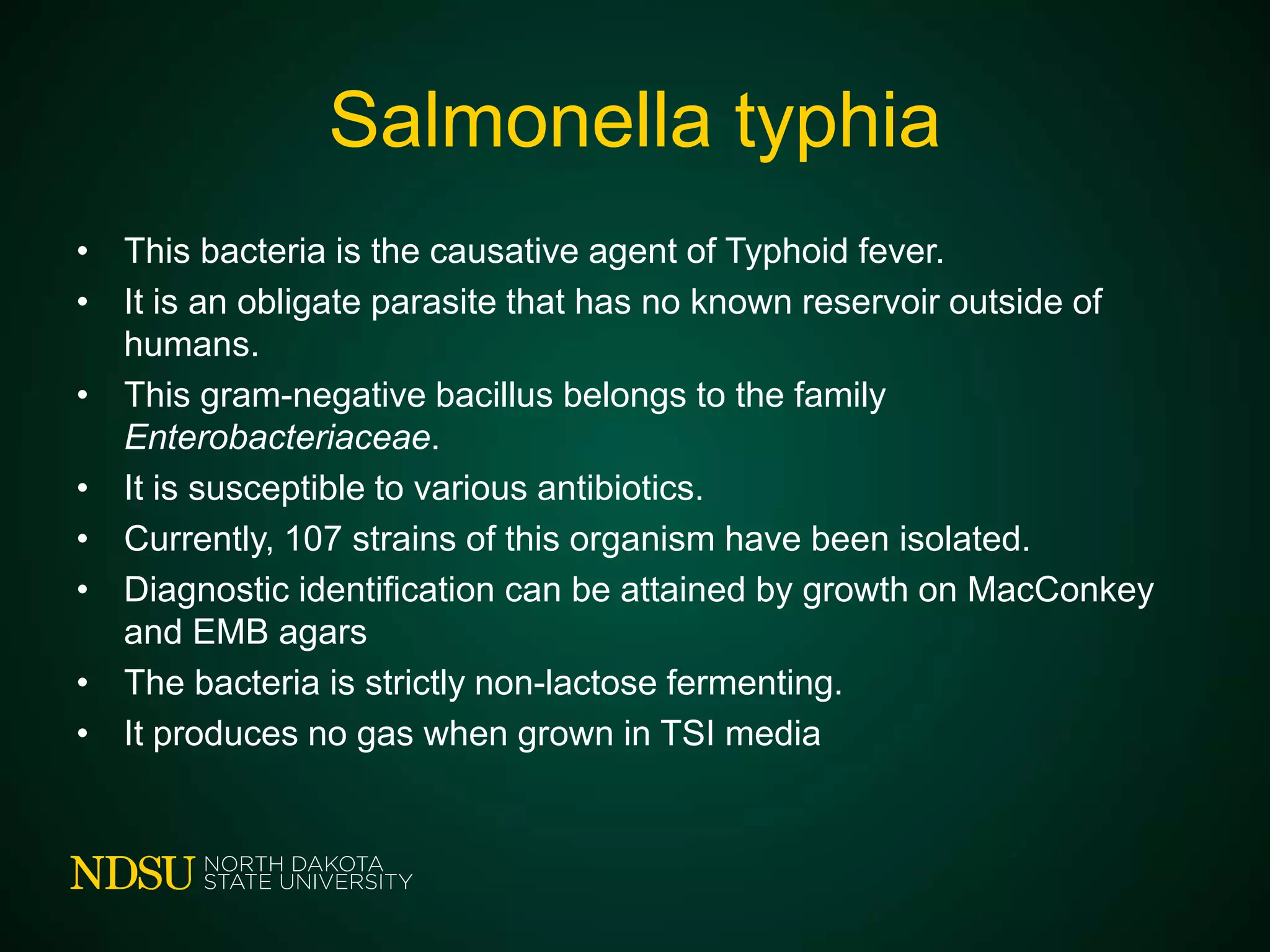 Case study - Typhoid Fever (Invasin protein) | PPTX