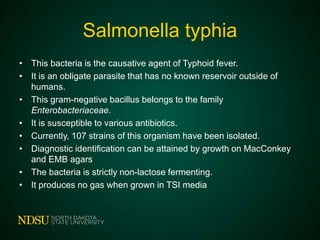 Case study - Typhoid Fever (Invasin protein) | PPTX