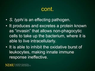 Case study - Typhoid Fever (Invasin protein) | PPTX