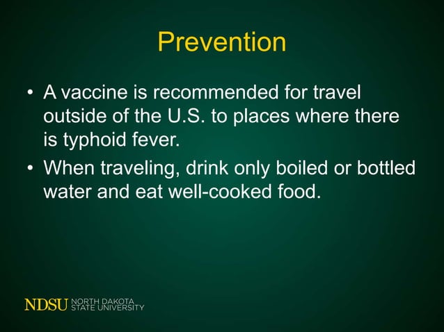 Case study - Typhoid Fever (Invasin protein) | PPT