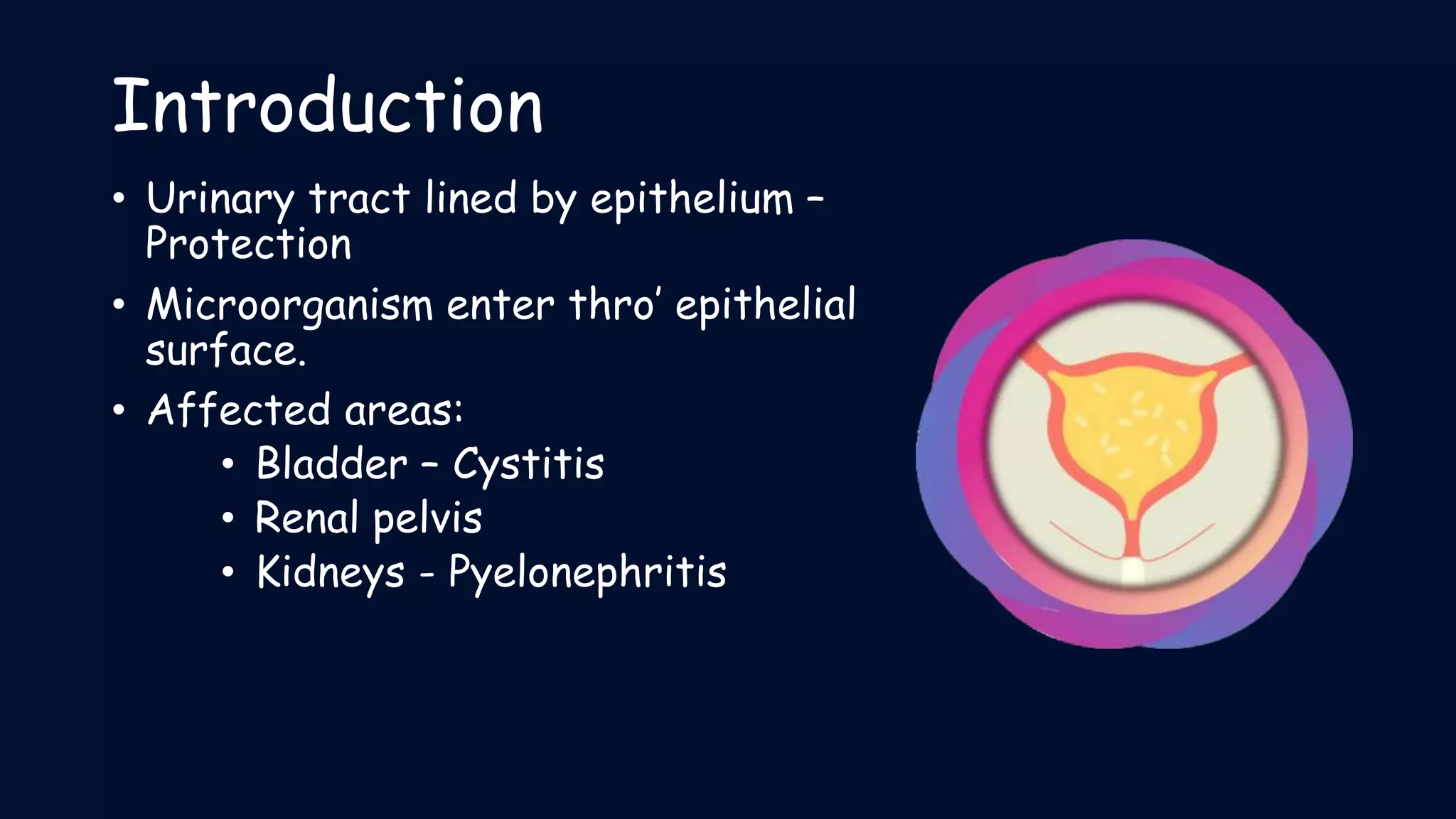 Case study of urinary tract infection | PPT