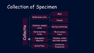 Case study of urinary tract infection | PPT