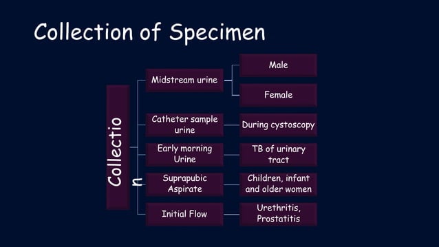 Case study of urinary tract infection | PPT