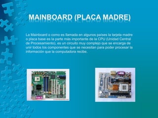 Case y sus partes | PPTX