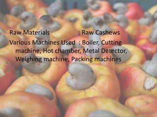 Cashew industry | PPTX