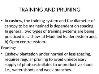 Cashew - Climate and soil requirement varieties- propagation.pptx