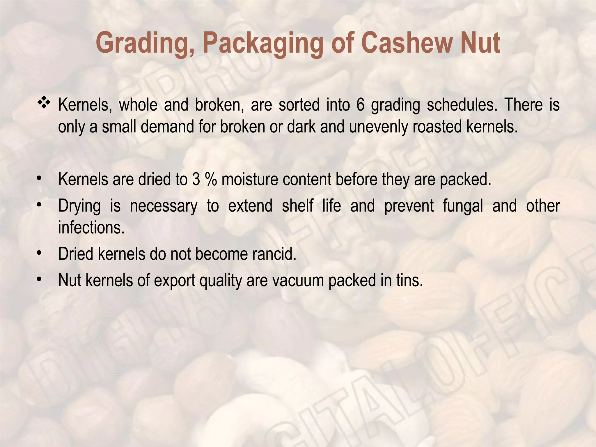 Cashewnut | PPT