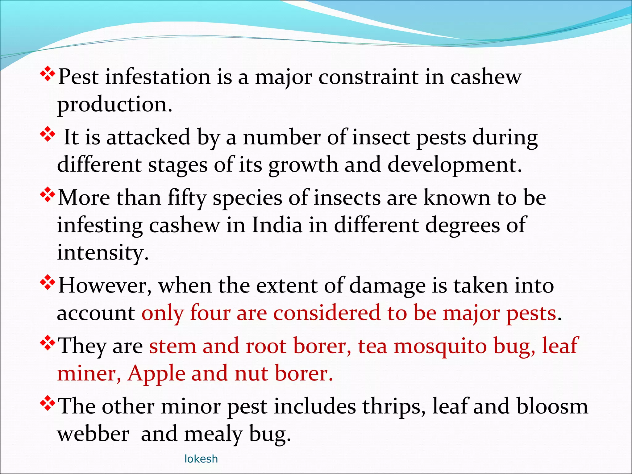 pests of Cashew nut . | PPT
