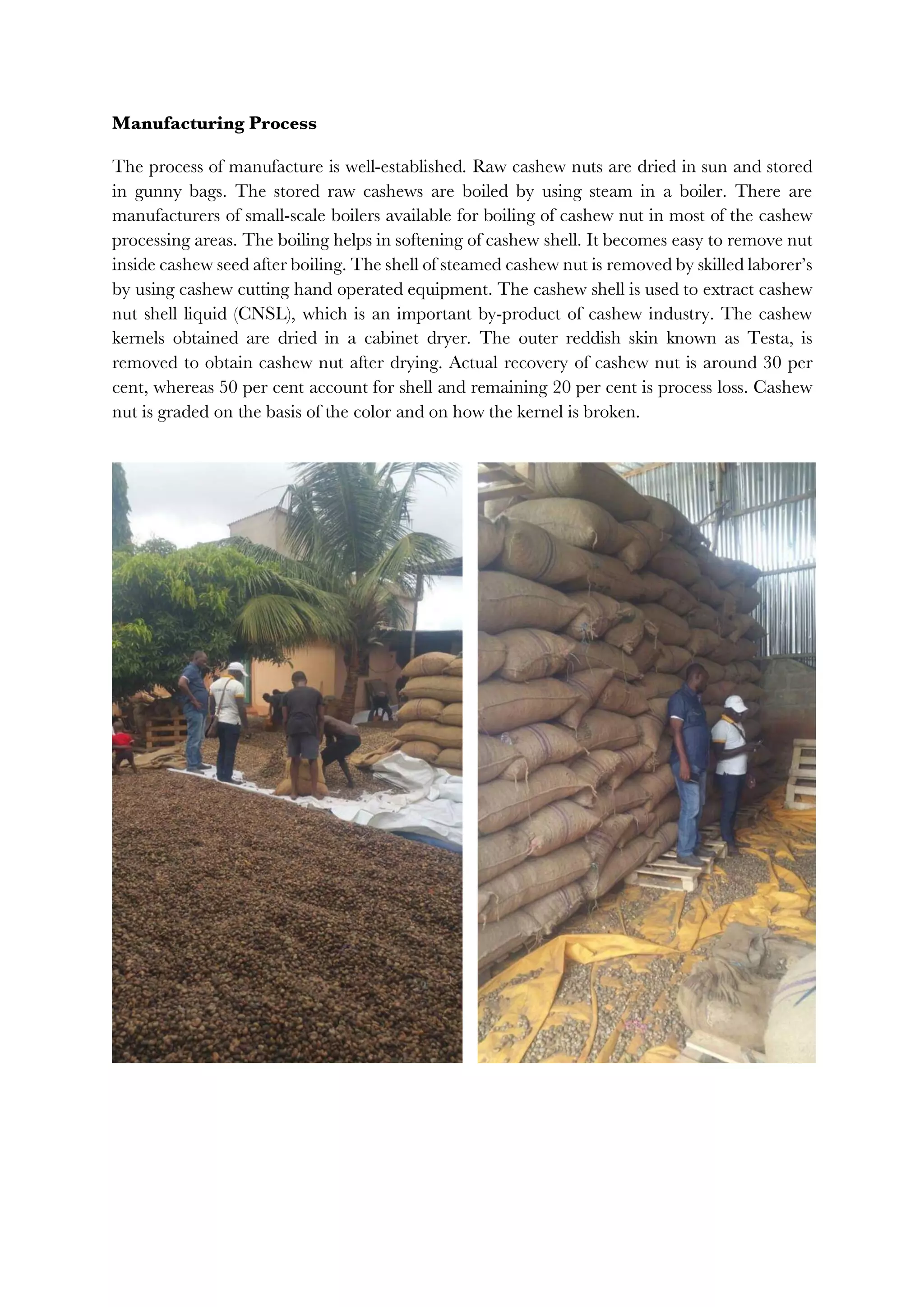 Cashew nut production | PDF