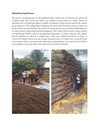 Cashew nut production | PDF | Agriculture | Industries