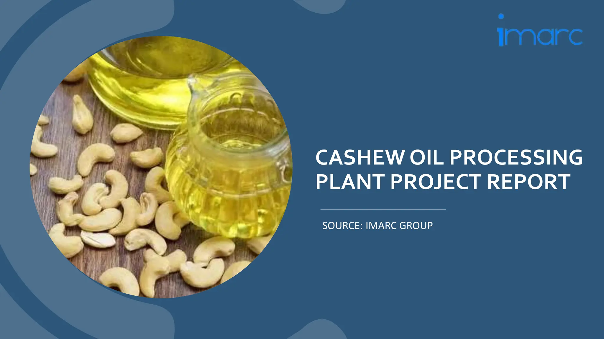 Detailed Project Report on Setting up a Cashew Oil Processing Plant | PPTX