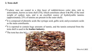 Cashew nut and Cashew apple Value added products.pptx