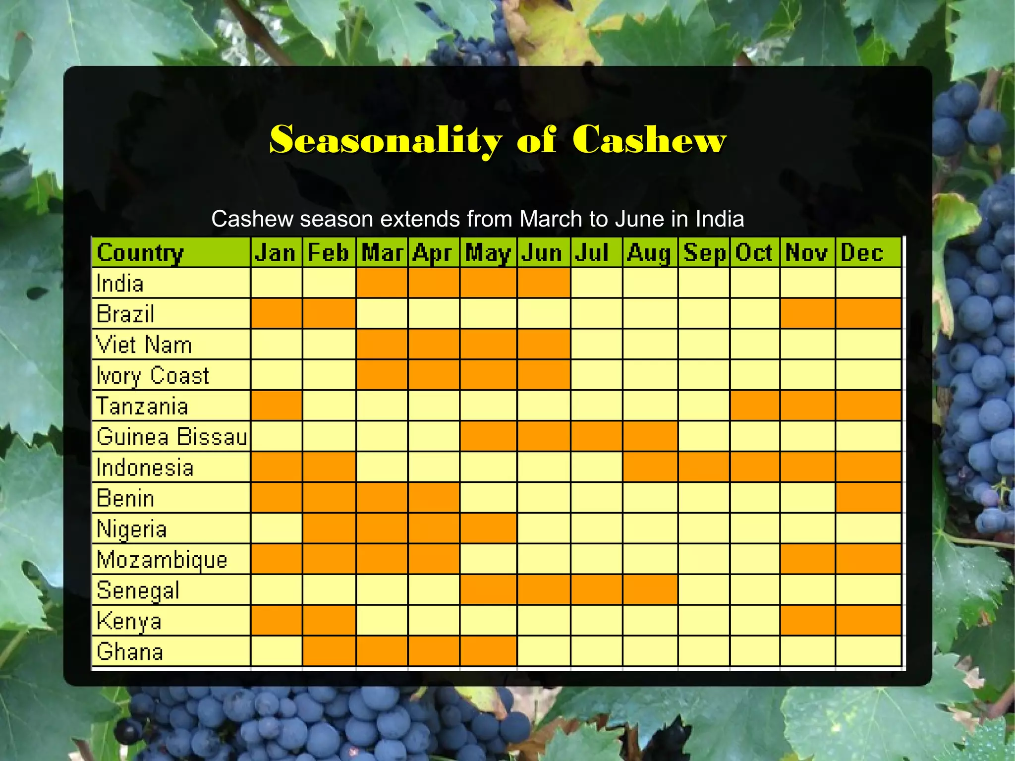 Cashew warehouse receipt cold storage receipt finance | PPT
