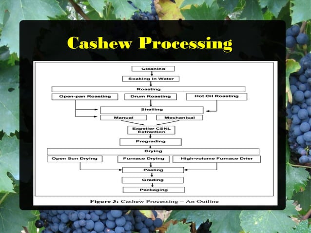 Cashew warehouse receipt cold storage receipt finance | PPT