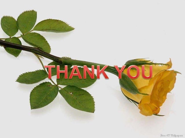 cash management overview and its strategiespptx | PPT