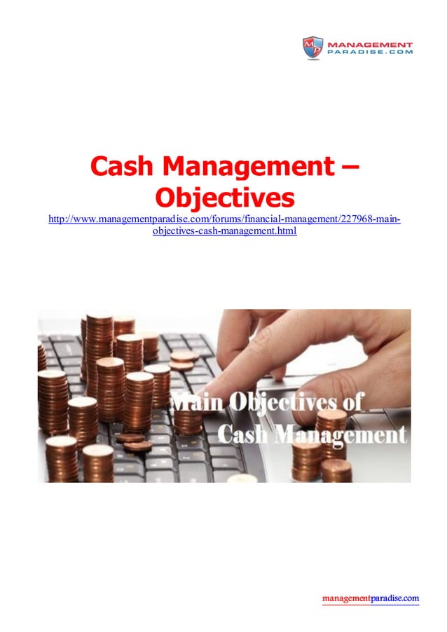 Cash management objectives | PDF