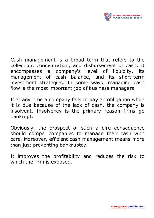 Cash management objectives | PDF