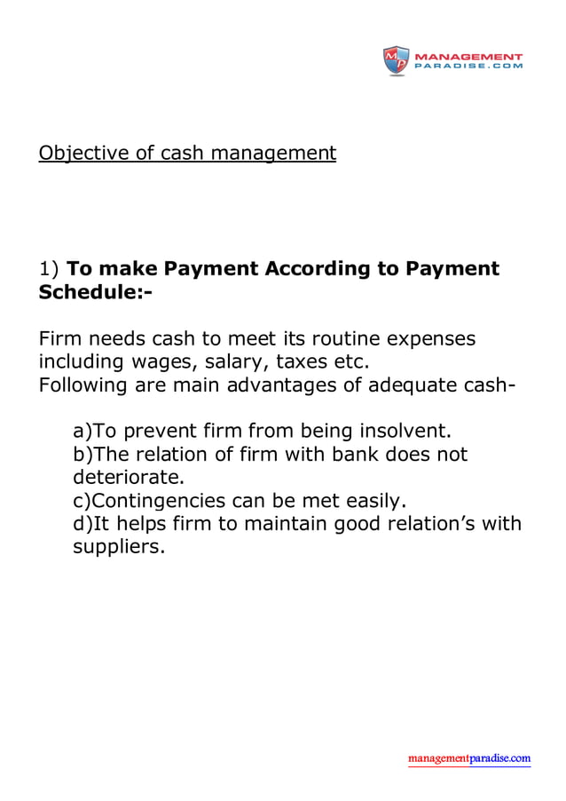 Cash management objectives | PDF