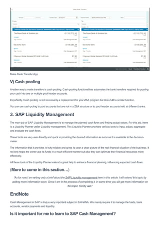 Cash Management in SAP | PDF