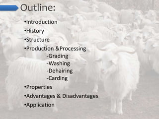 Cashmere Fiber | PPTX