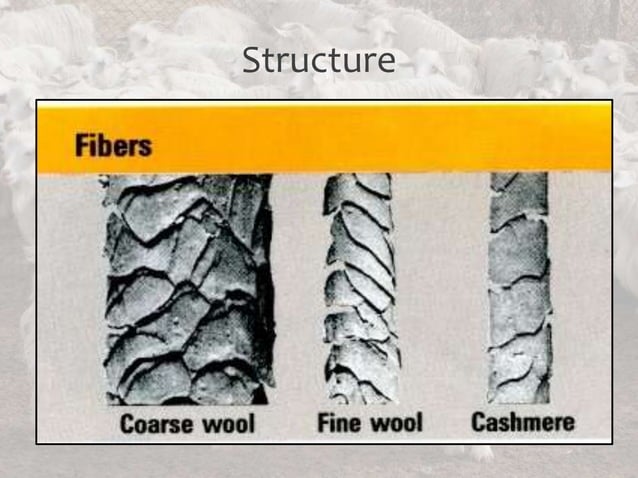 Cashmere Fiber