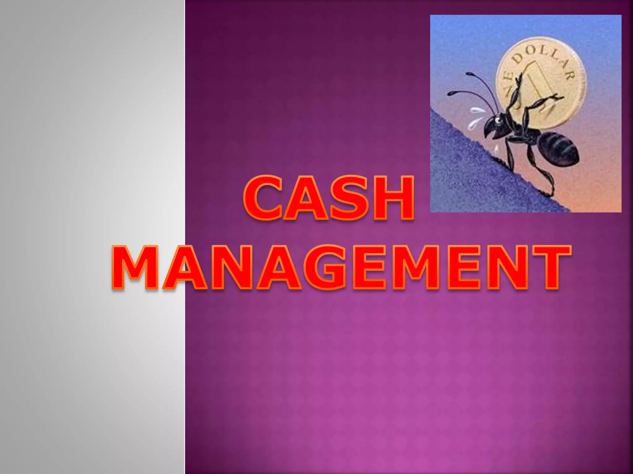 Cash management | PPTX