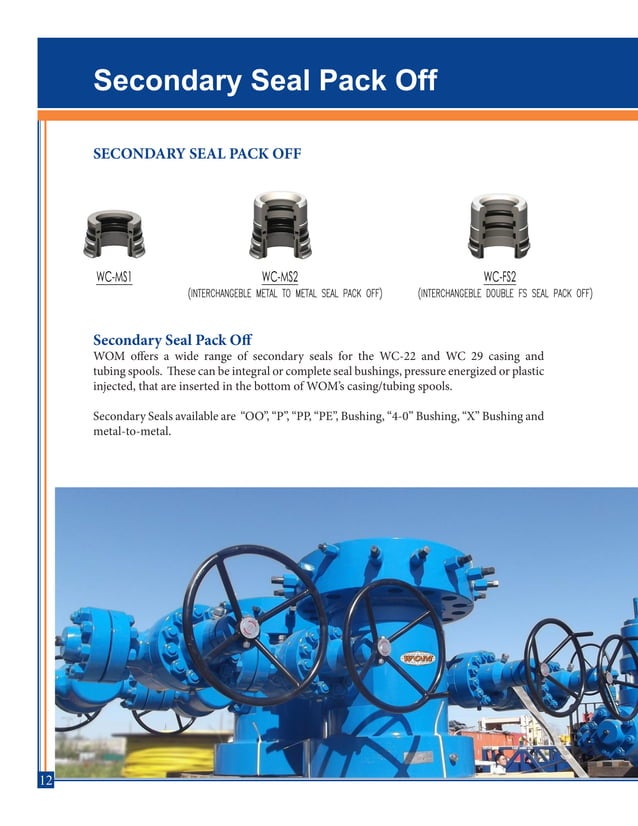 Casing Head Spools, Oilfield Casing Equipment - WOM Group | PDF