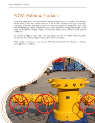 Casing Head Spools, Oilfield Casing Spools - WOM Group | PDF