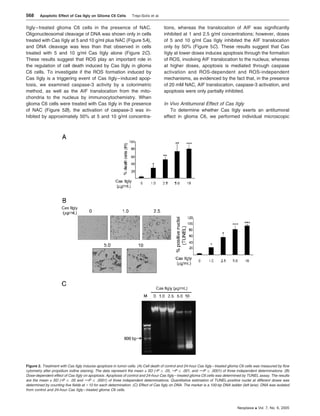 Casiopeinas 2005 | PDF