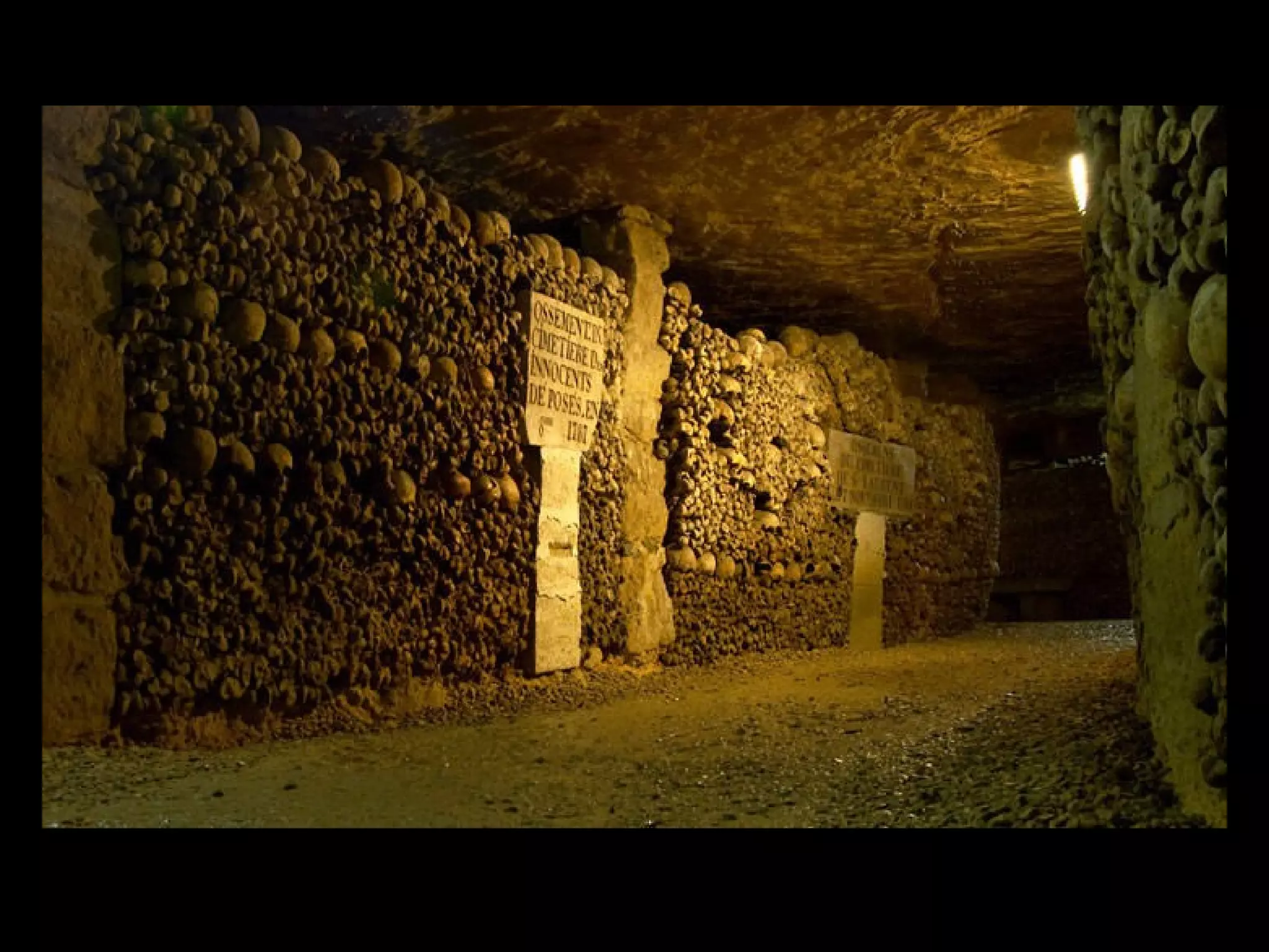 Cask of Amontillado--Carnivale and Catacombs | PPT
