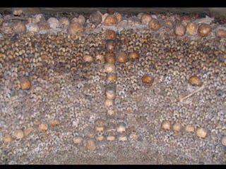 Cask of Amontillado--Carnivale and Catacombs | PPT