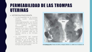Caso 01-Anatomia | PPTX