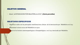CASO-CLINICO DE INTOXICACION CON MALATION-TOXICOLOGIA.pptx