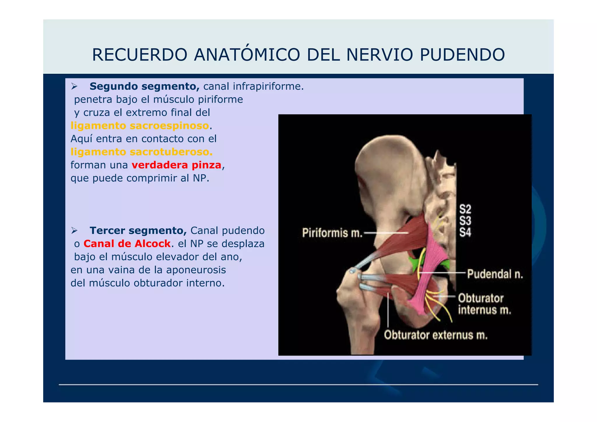 Caso Clínico: Síndrome de atrapamiento del nervio pudendo | PPT