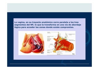 Caso Clínico: Síndrome de atrapamiento del nervio pudendo | PDF