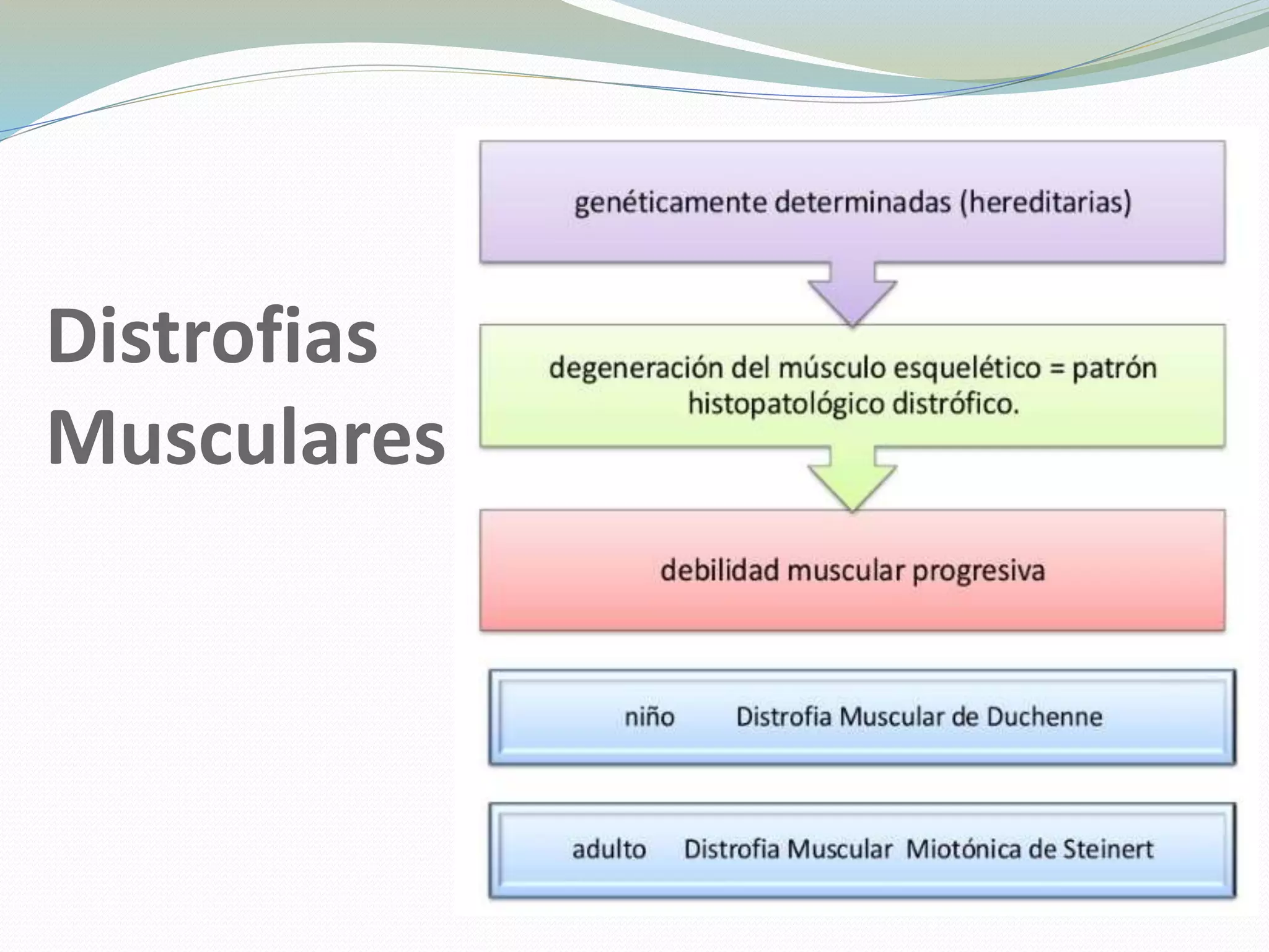 Aproximacion diagnostica de debilidad muscular. Pediatría | PPTX
