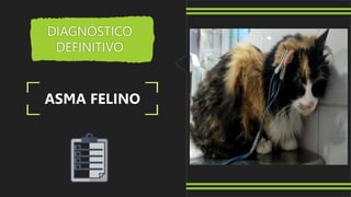 CASO CLÍNICO 2 - Asma Felino SR.pptx