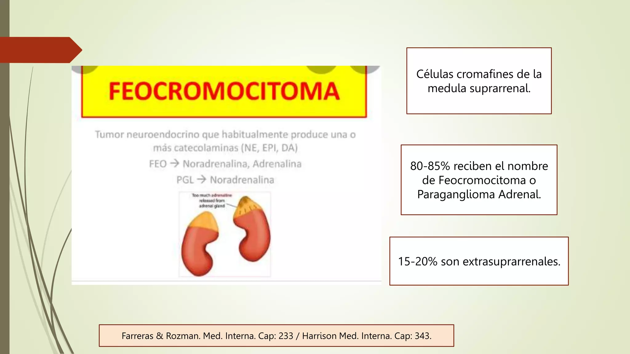 caso clinico feocromocitoma.pptx