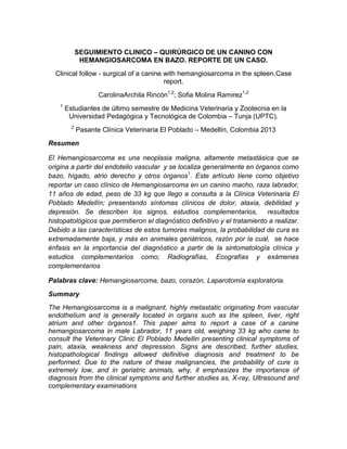 Caso clinico hemangiosarcoma de bazo rev jd (1) | DOCX