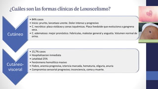Loxoscelismo. caso clínico | PPTX