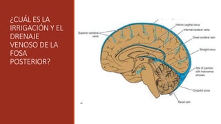 Consideraciones anestésicas para cirugía de fosa posterior. | PPTX