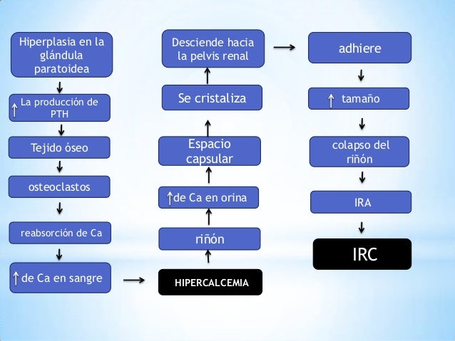 Fisiopatología Hipercalcemía e Hipocalcemía