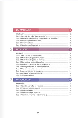 Casos clinicos de citologia en el perro y gato | PDF