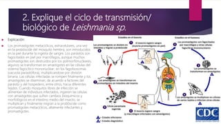 Casos clinicos farma leishmania | PPTX