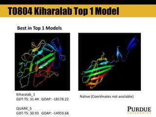 Kihara Lab protein structure prediction performance in CASP11 | PPT