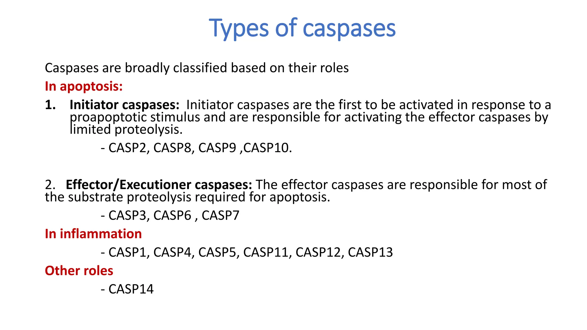 caspase[1].pptx njmdihcdsjhfilewjfgufhrefilreh | PPTX